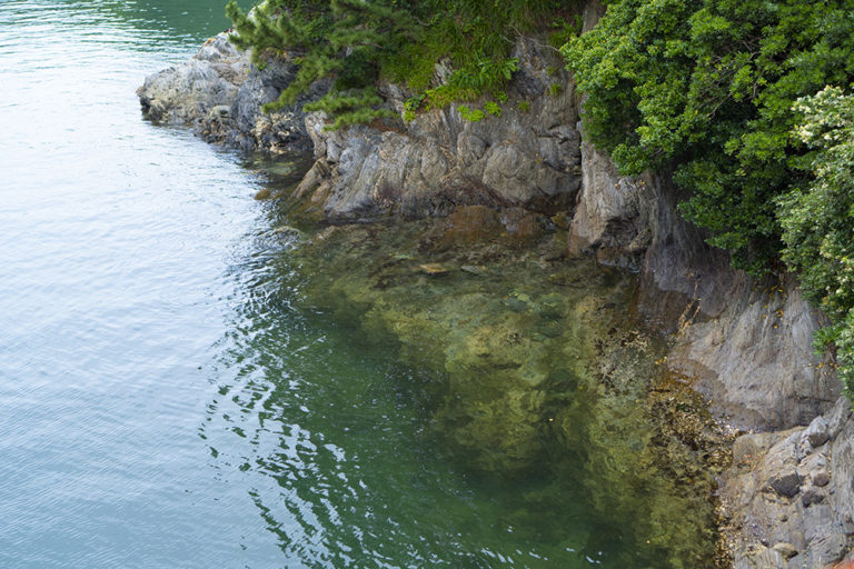 小旅行 - Hakobune-N